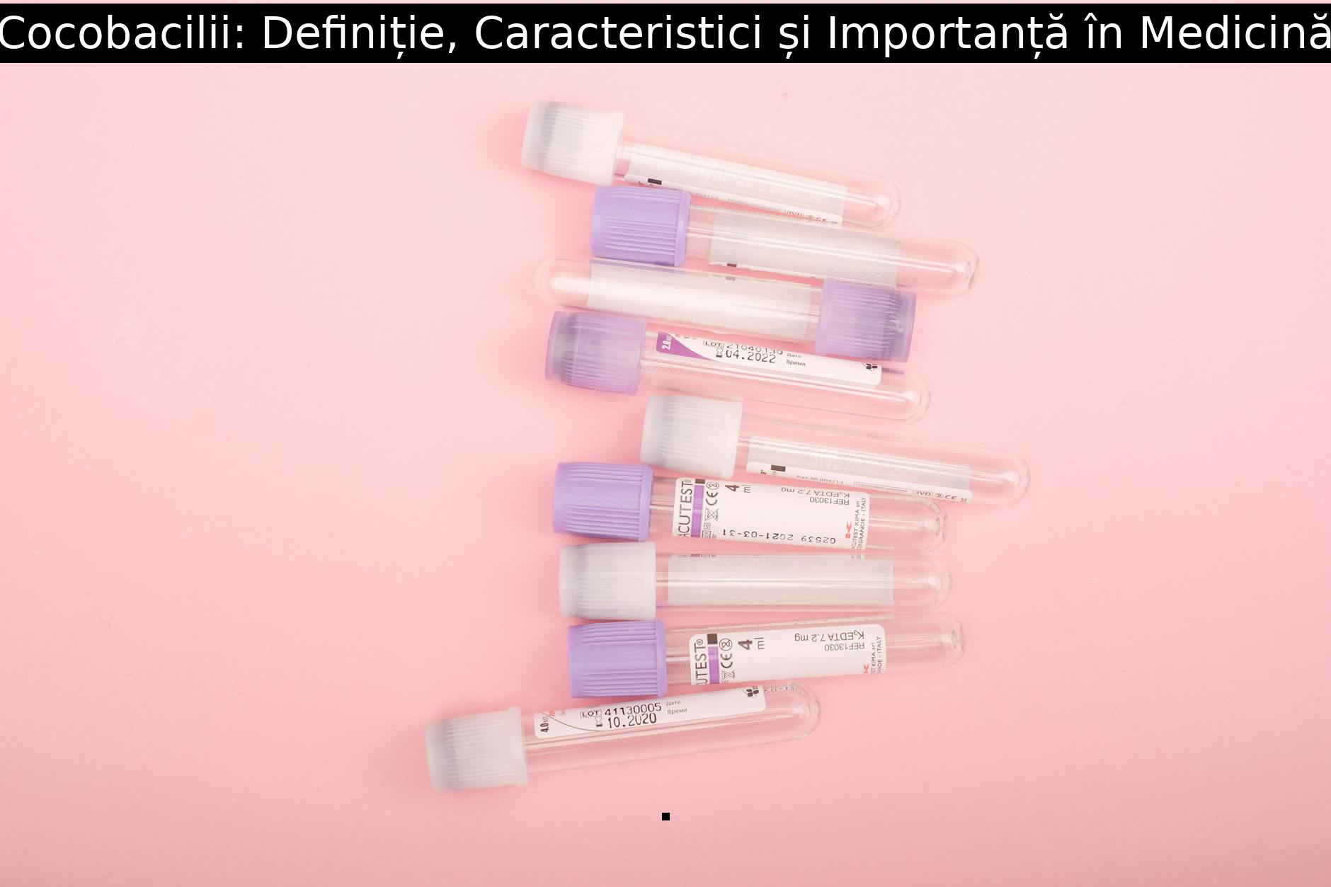 Cocobacilii: Definiție, Caracteristici și Importanță în Medicină ...